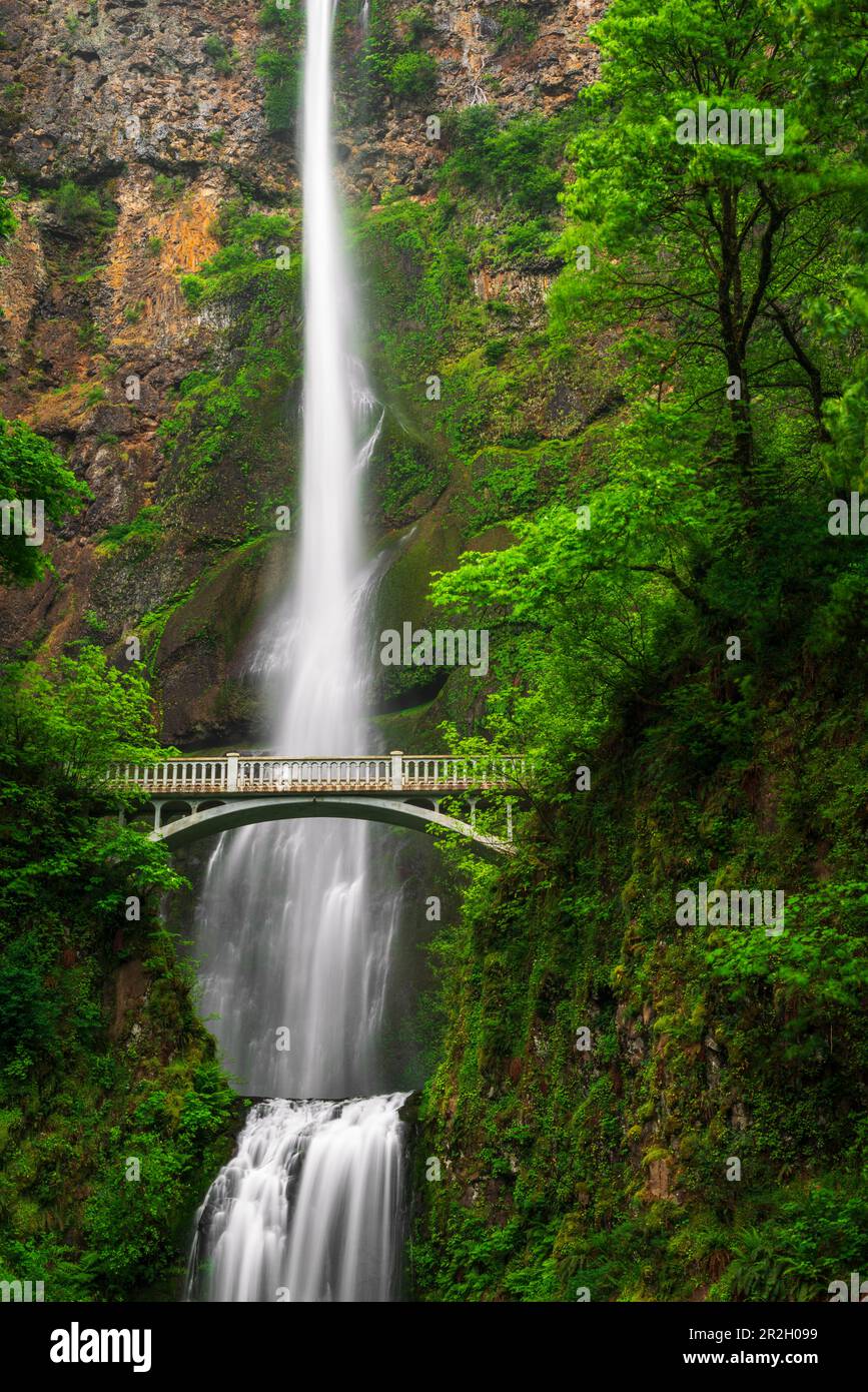 Multnomah Falls, Columbia River Gorge National Scenic Area, Oregon USA ...