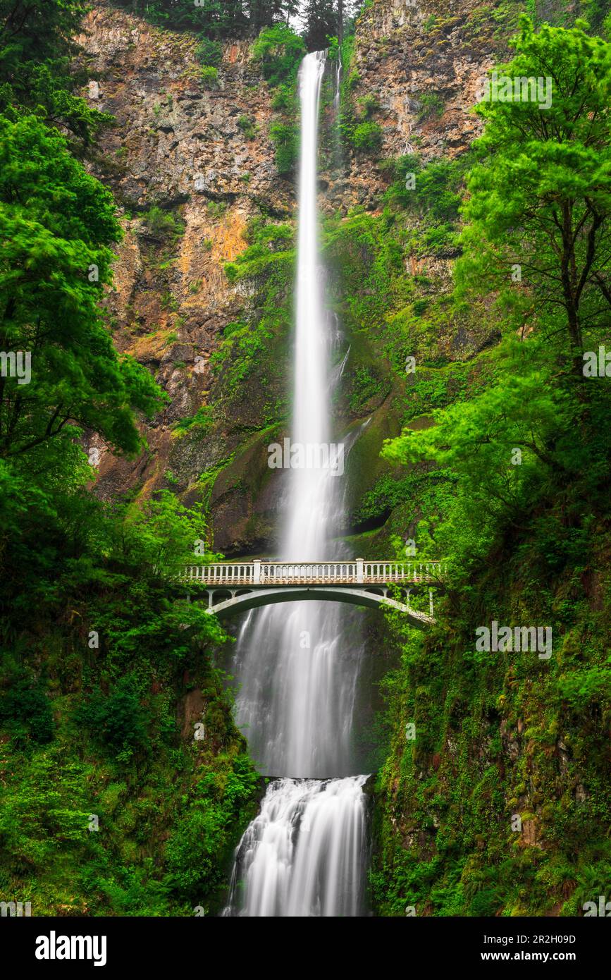 Multnomah Falls, Columbia River Gorge National Scenic Area, Oregon USA ...