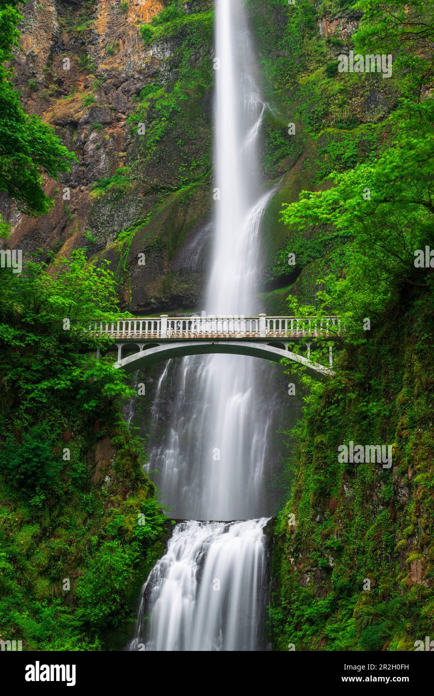 Multnomah Falls, Columbia River Gorge National Scenic Area, Oregon USA ...