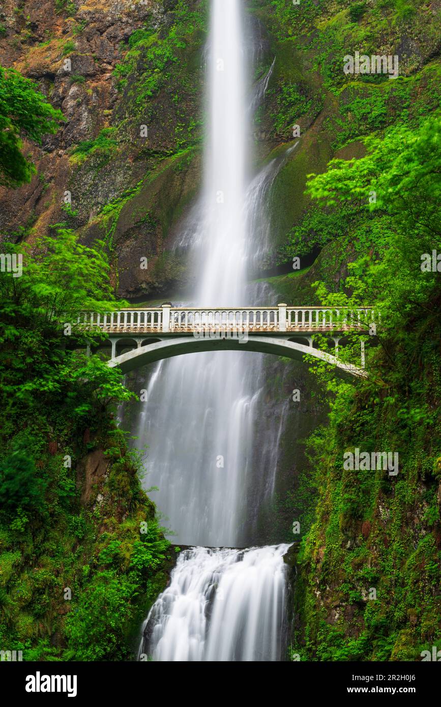 Multnomah Falls, Columbia River Gorge National Scenic Area, Oregon USA ...