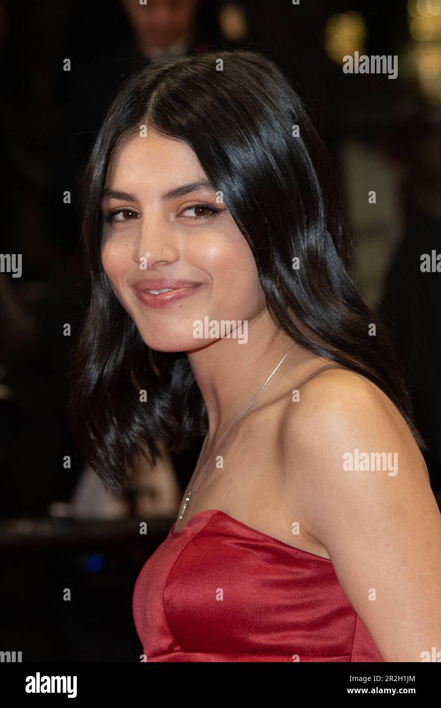 Tayssir chikhaoui hi-res stock photography and images - Alamy