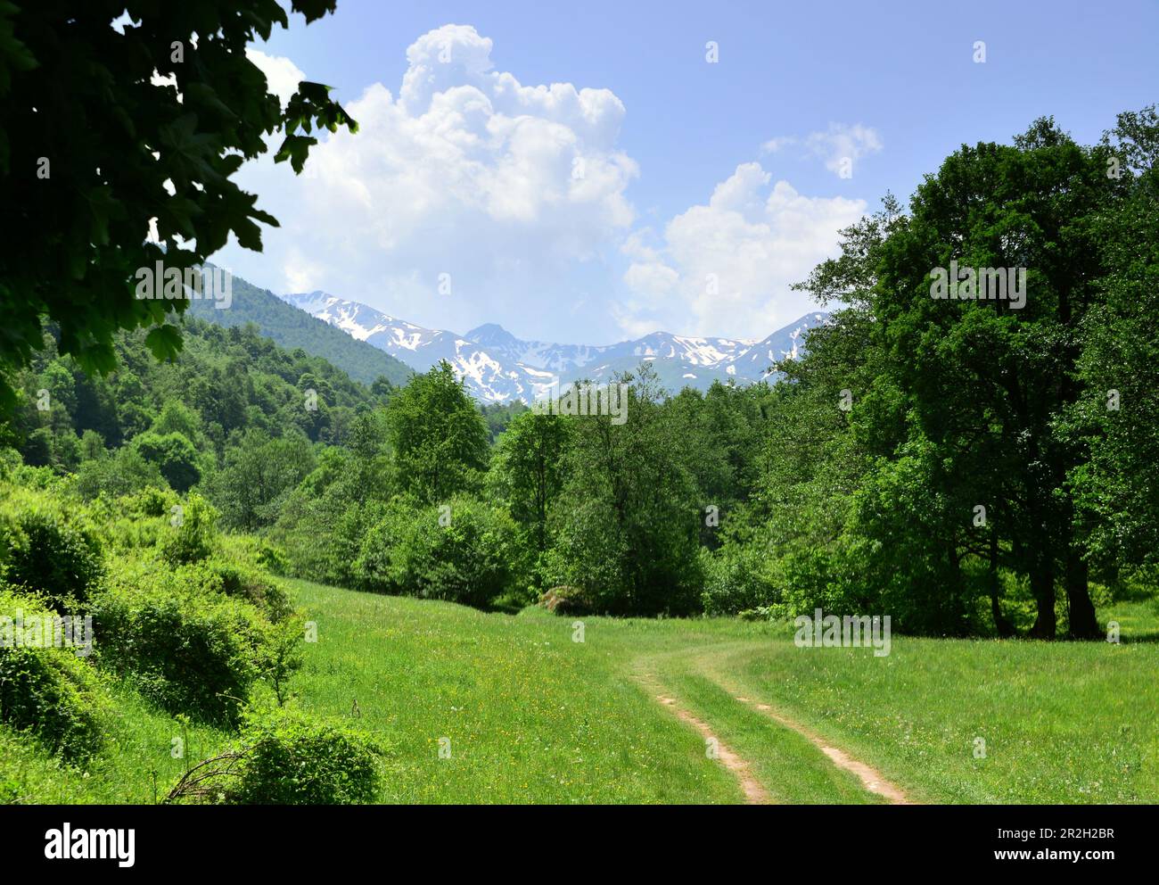 Landscape at road 115 at Sar Planina National Park, South Kosovo Stock ...