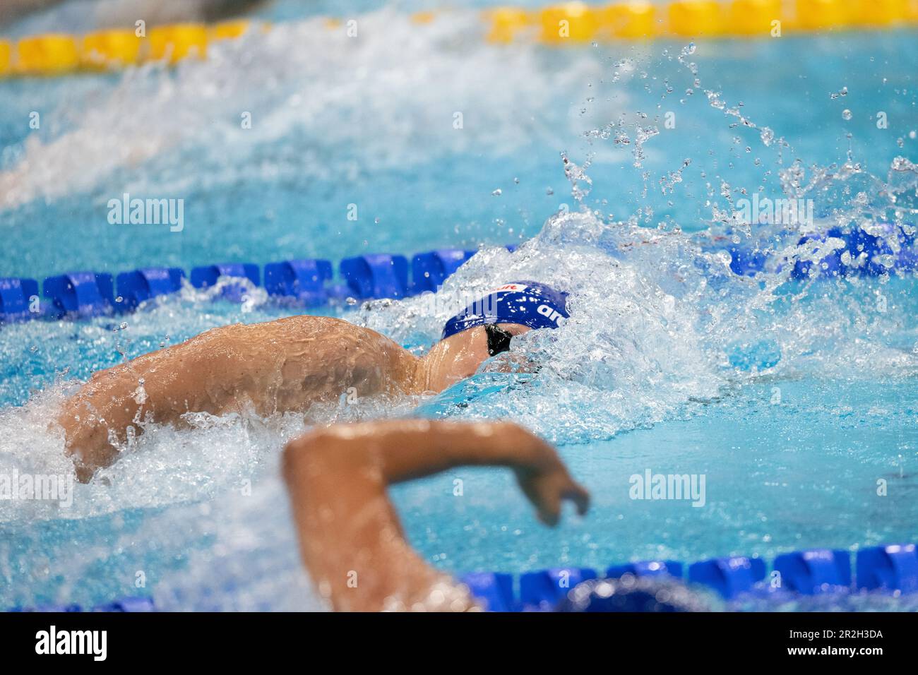 Velimir Stjepanovic (SRB) during the 19Th FINA World Championships ...