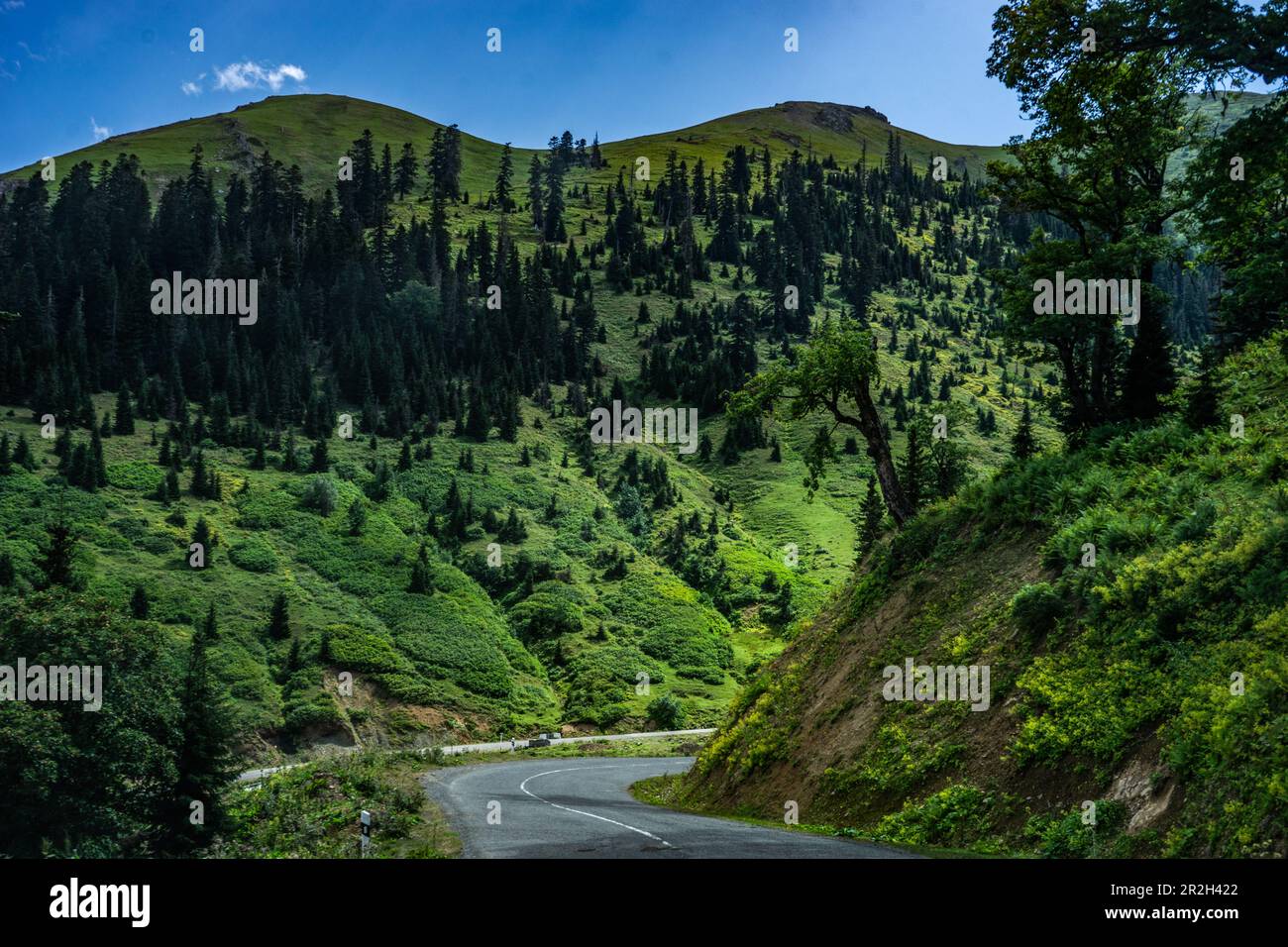 Mountain landscape in famous recreation zone of Guria region in western ...