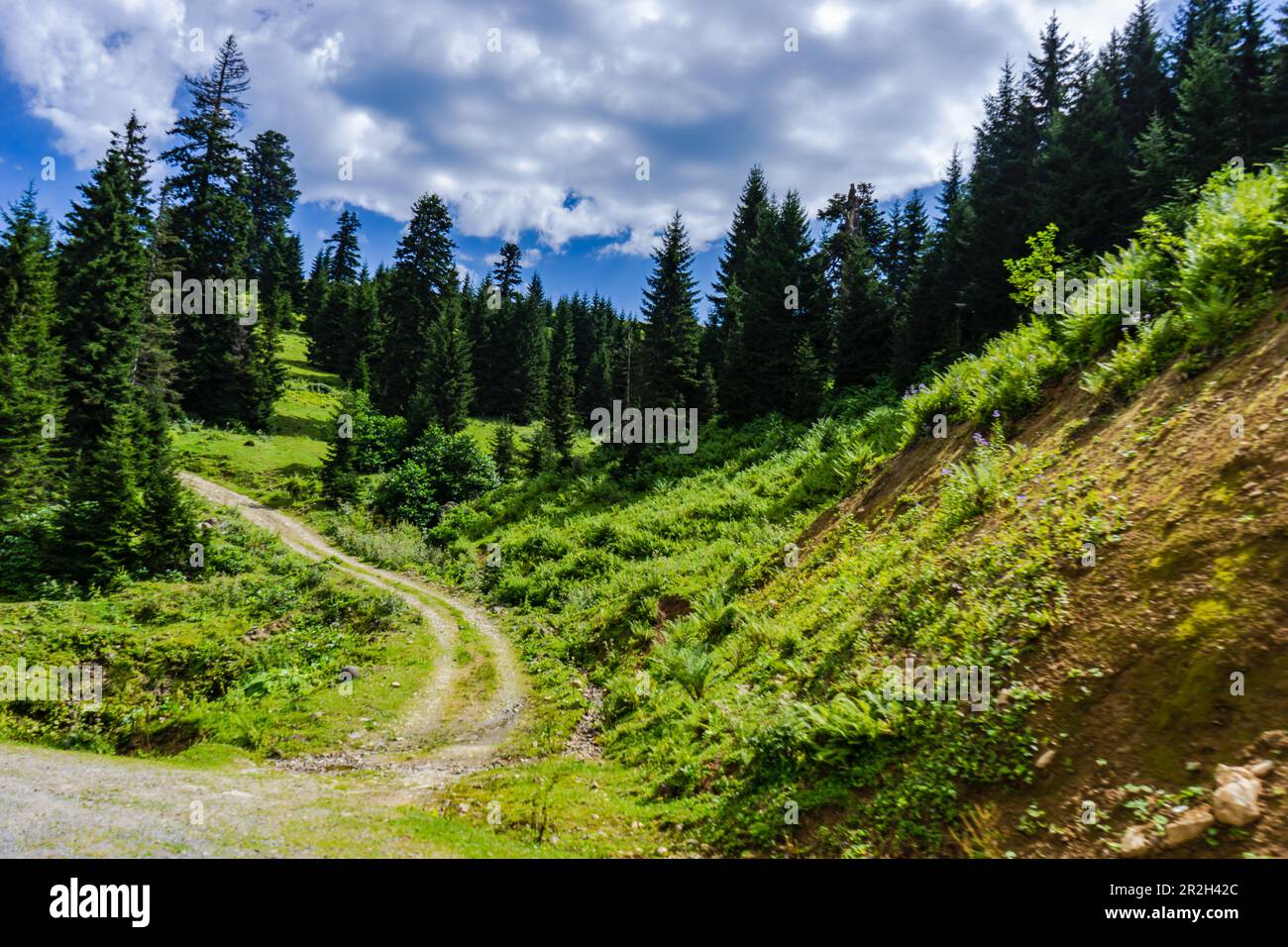 Mountain landscape in famous recreation zone of Guria region in western ...