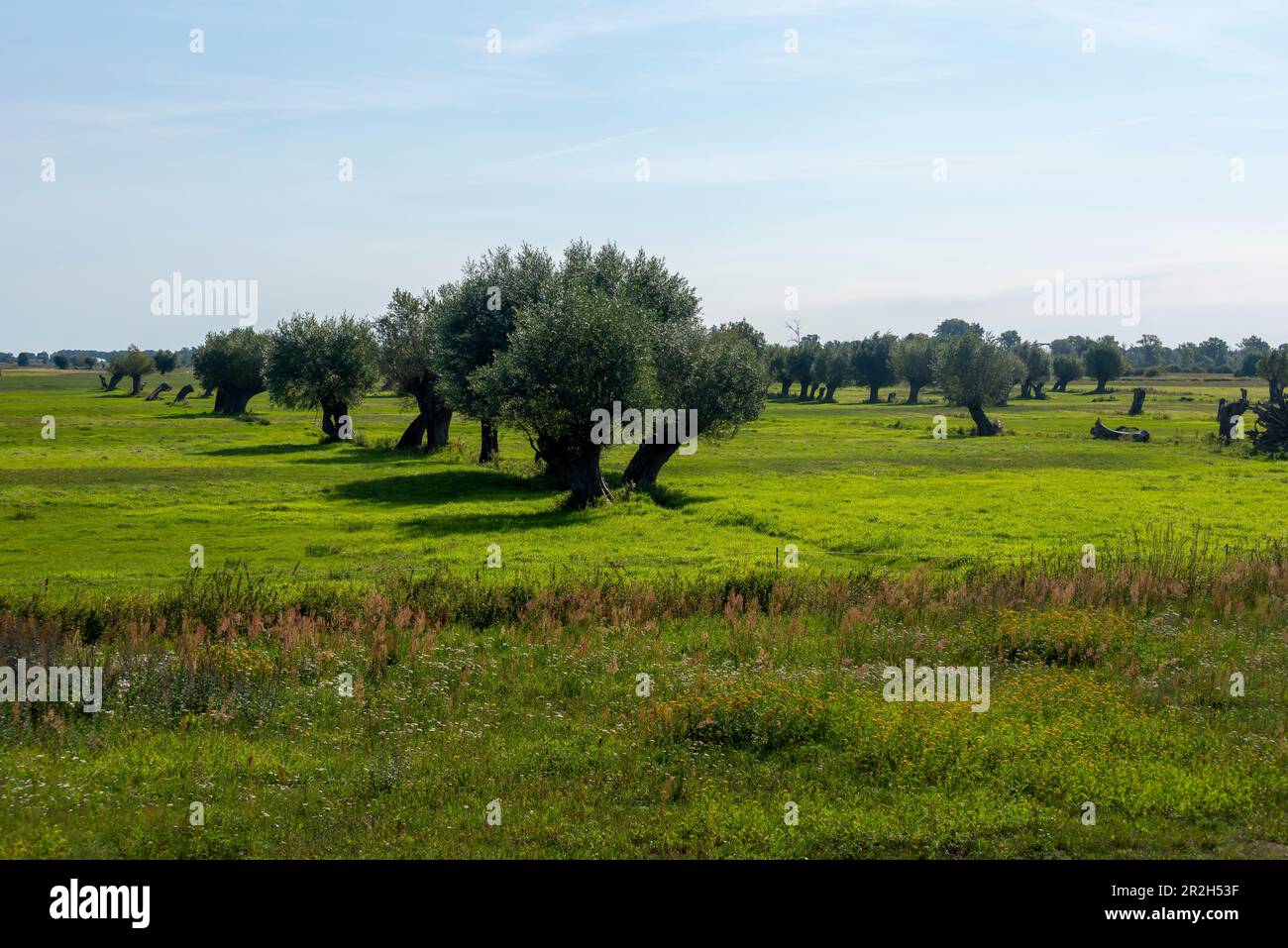 Havel lowlands hi-res stock photography and images - Alamy