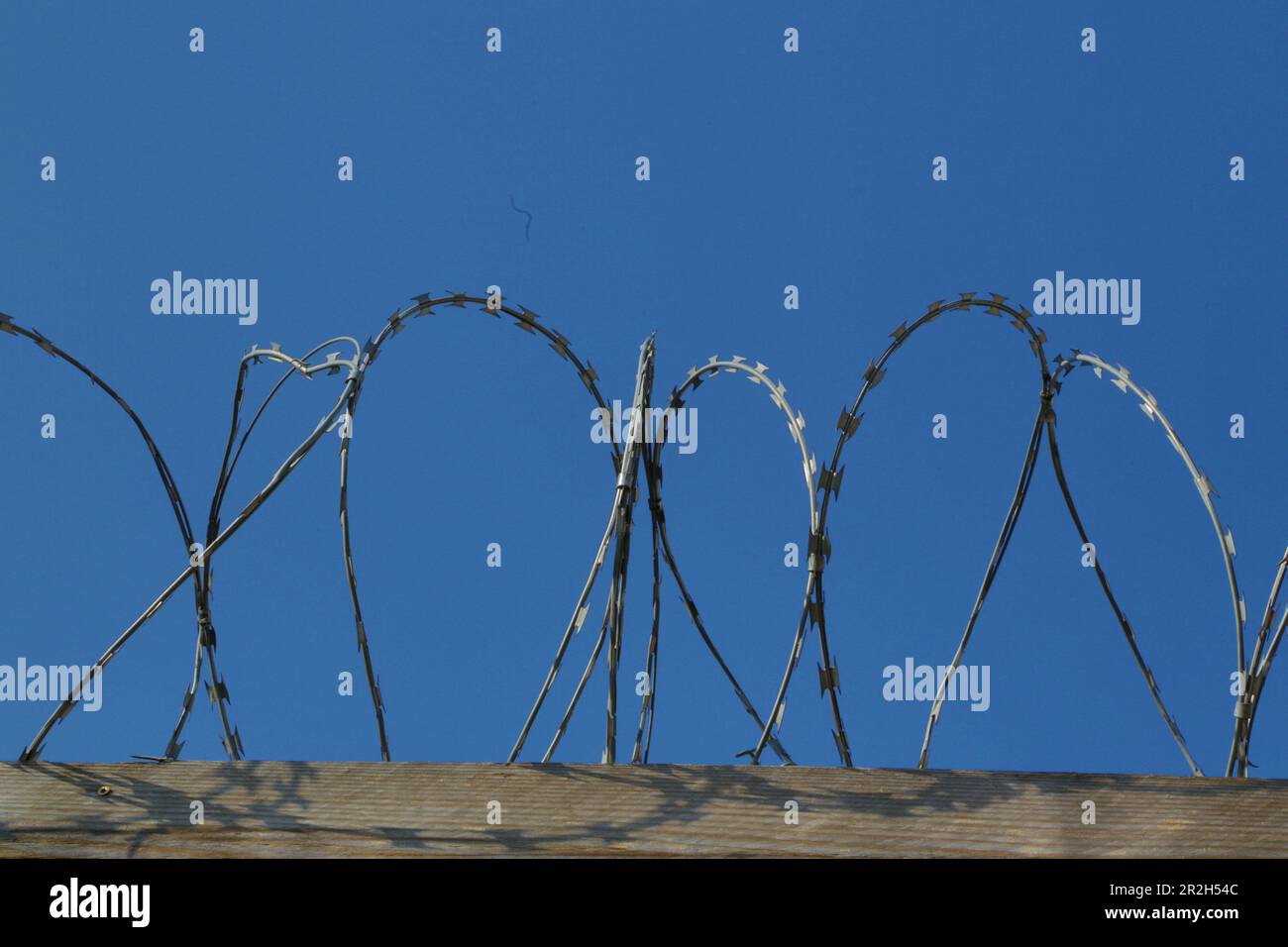 Barbelé fil de fer hi-res stock photography and images - Alamy