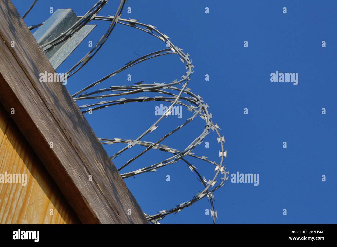 Barbelé fil de fer hi-res stock photography and images - Alamy