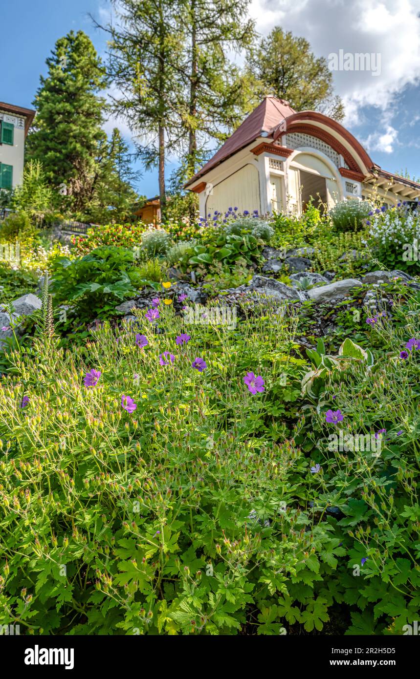 Alpine beds hi-res stock photography and images - Alamy