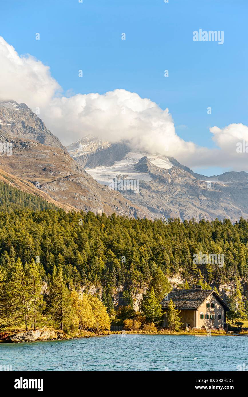 Autumn landscape at Lake Sils in the Engadin, Graubünden, Switzerland ...