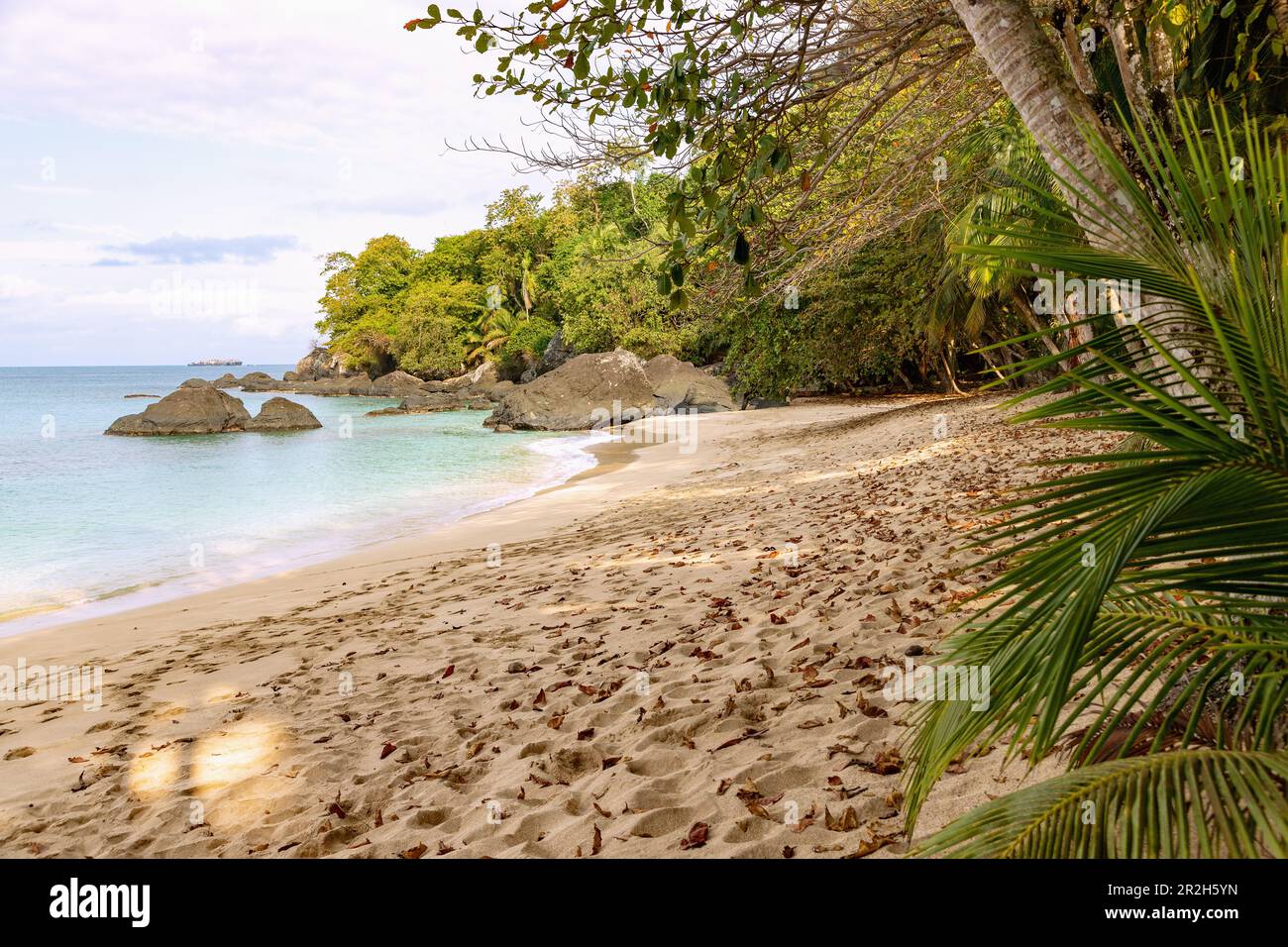 Banana beach principe hi-res stock photography and images - Alamy
