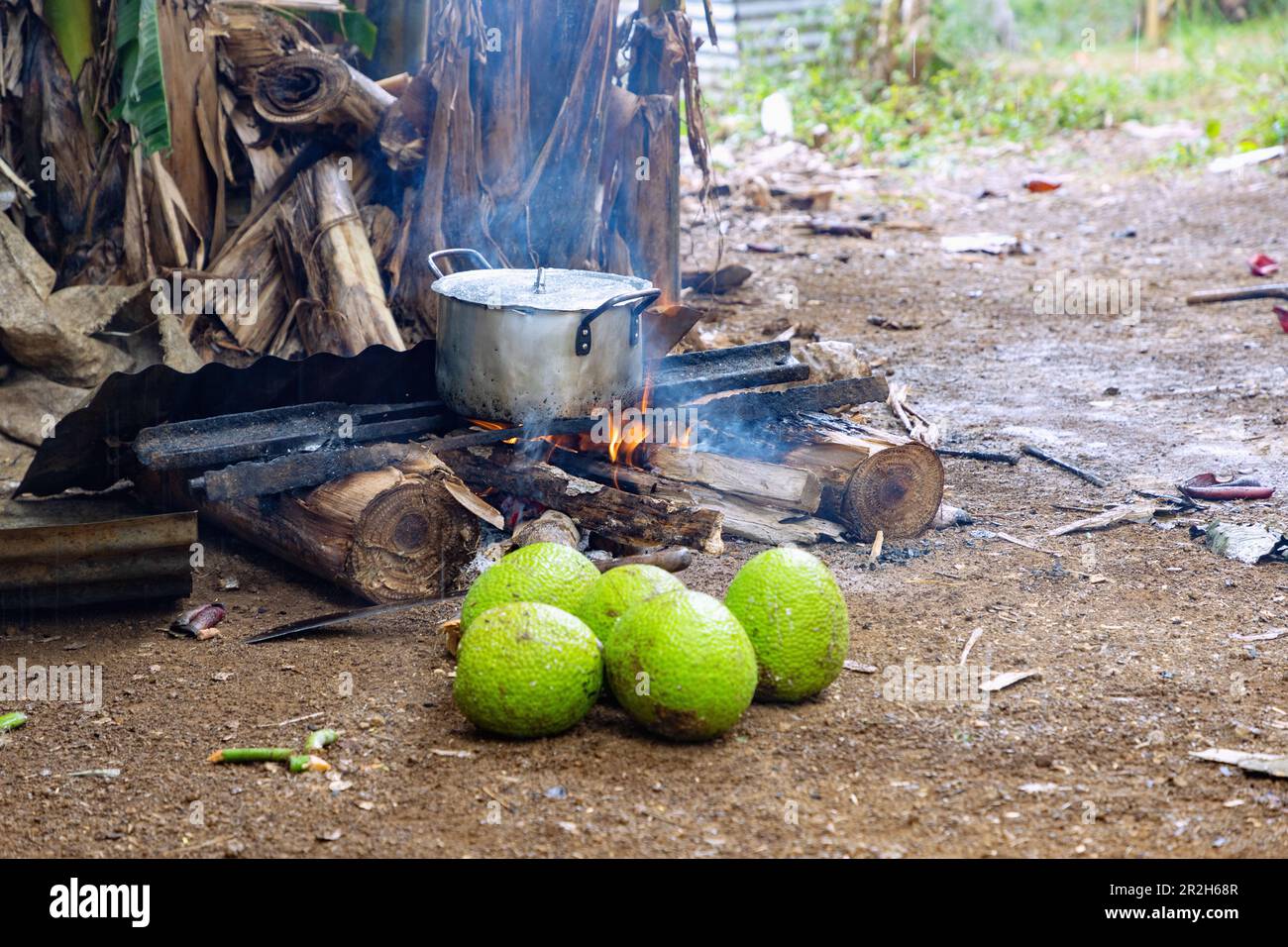 open fire pit with cooking pot and breadfruit in the village of Roça ...