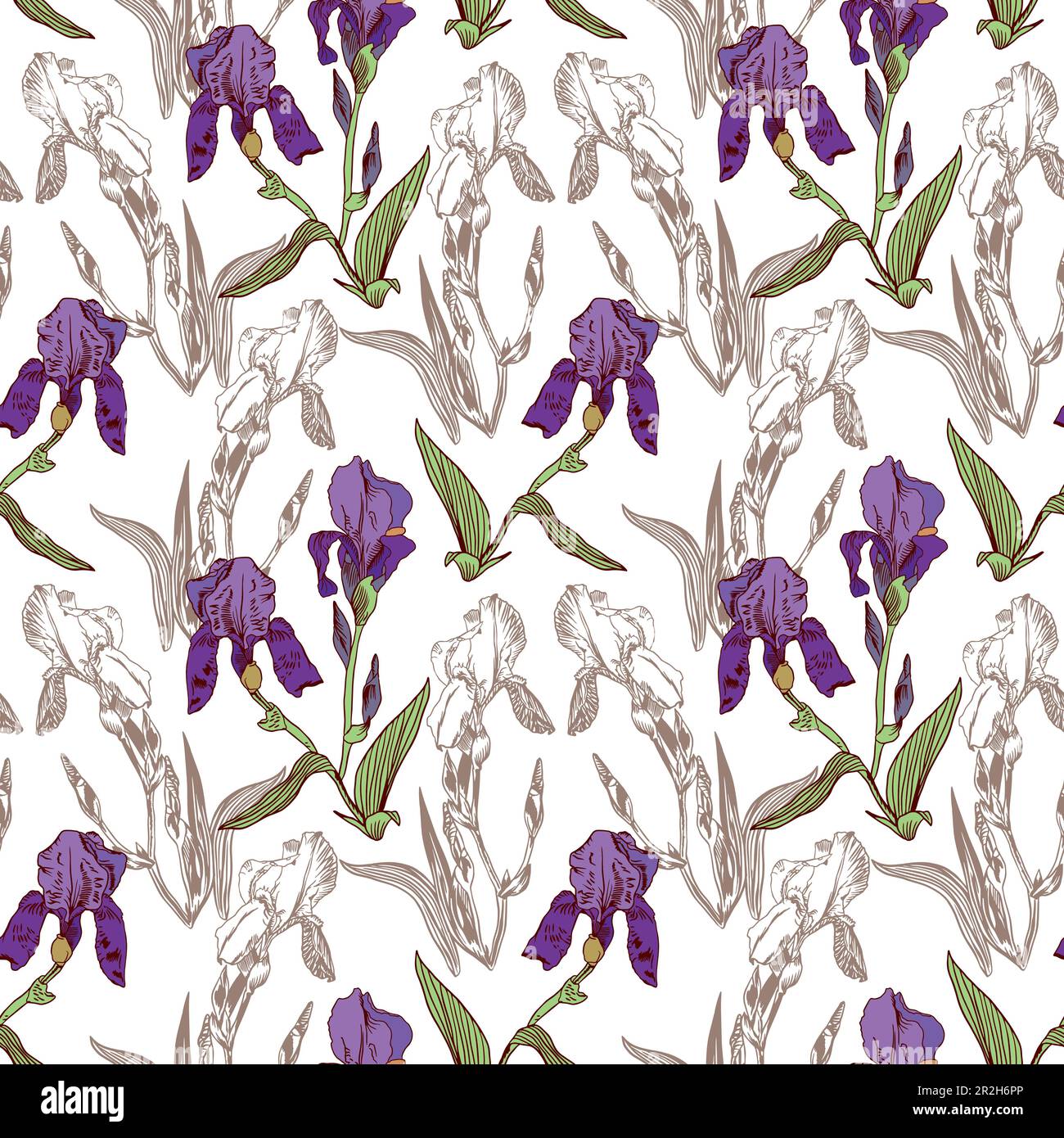 Vector purple irises with leaves, iris silhouette. Flower seamless ...