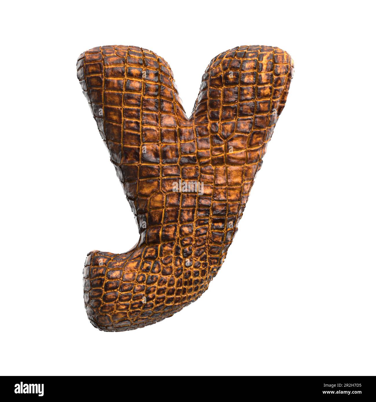 crocodile letter Y - Small 3d reptile font - Suitable for wildlife ...