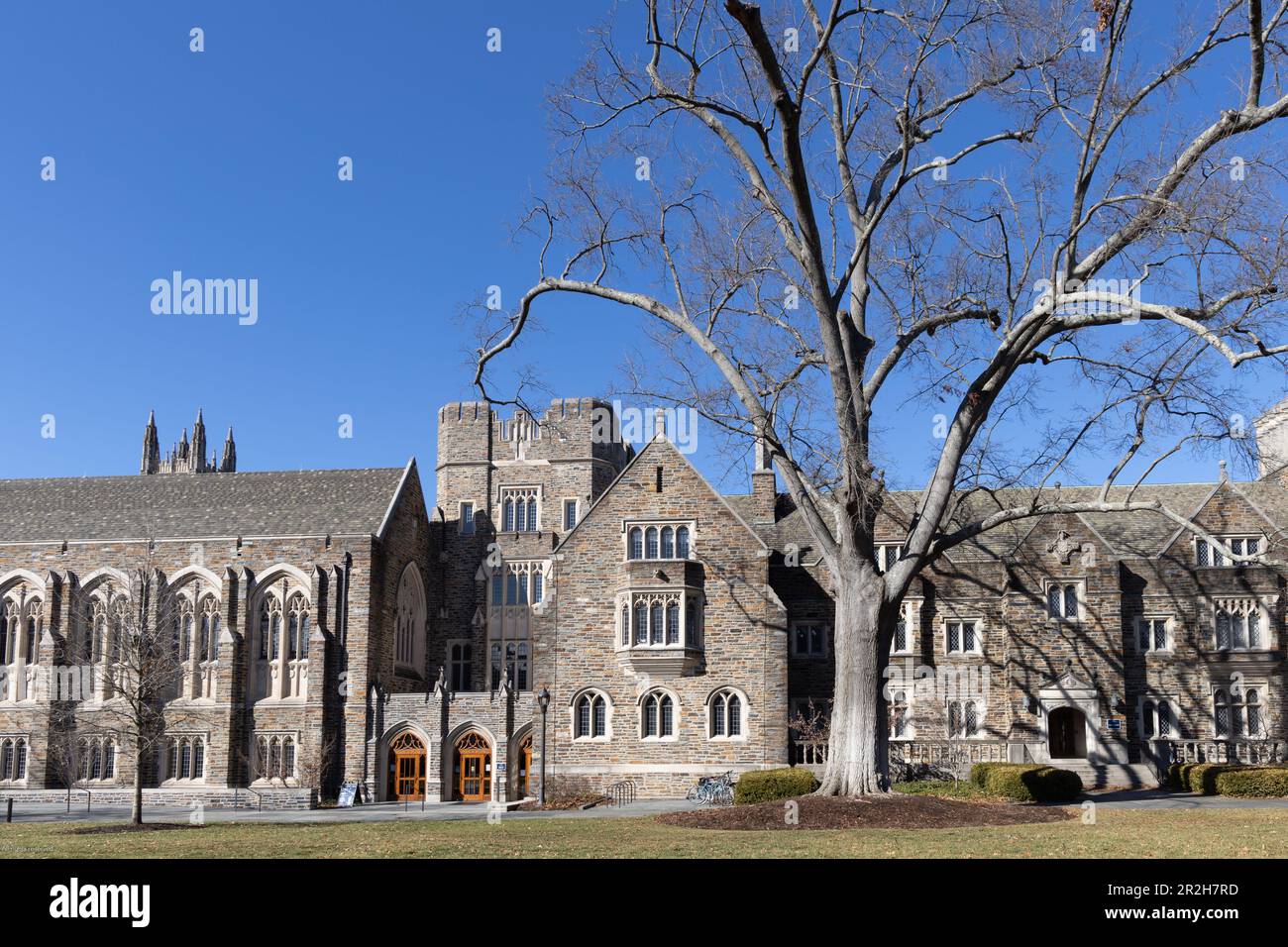 Durham, NC; 01/05/2023; Photo of the library building on the campus of ...