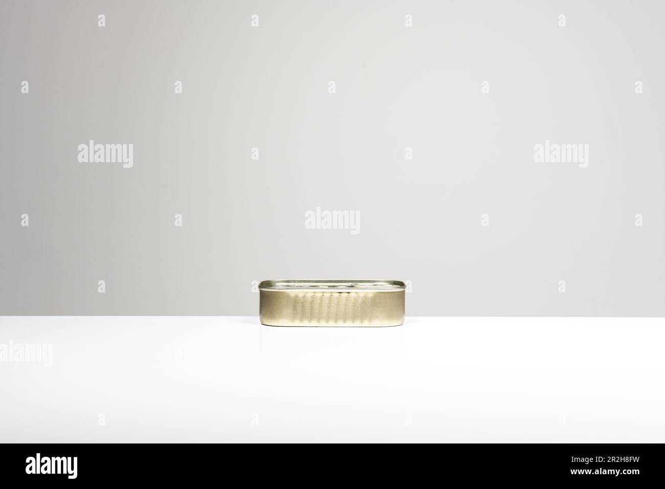 A simple rectangular shaped metal canning tin on a smooth white surface ...