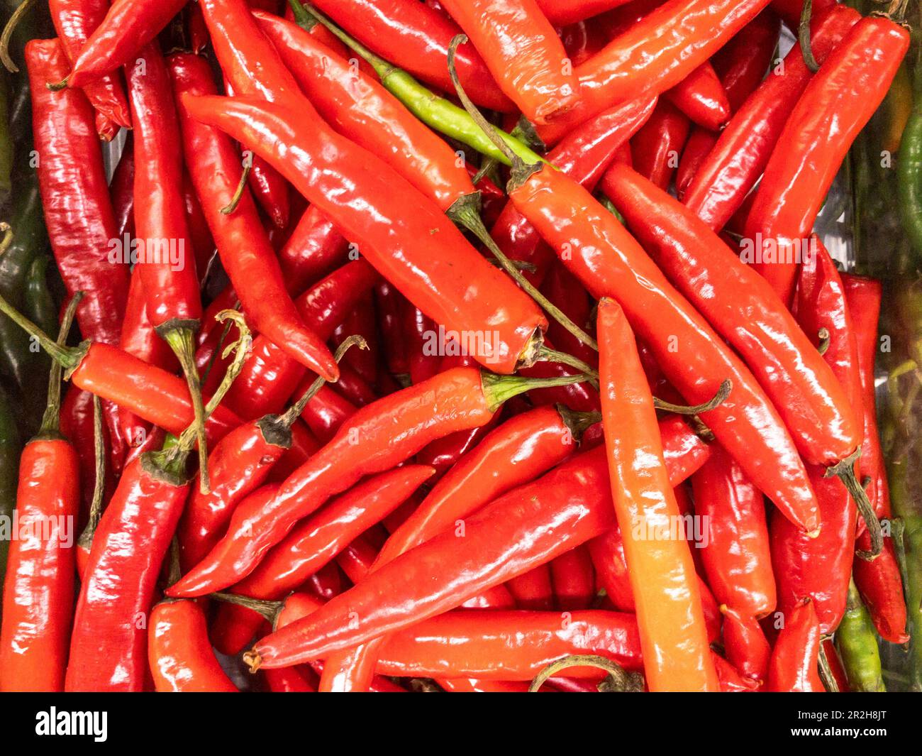 Red Chili pepper pile at organic vegetable market Stock Photo - Alamy