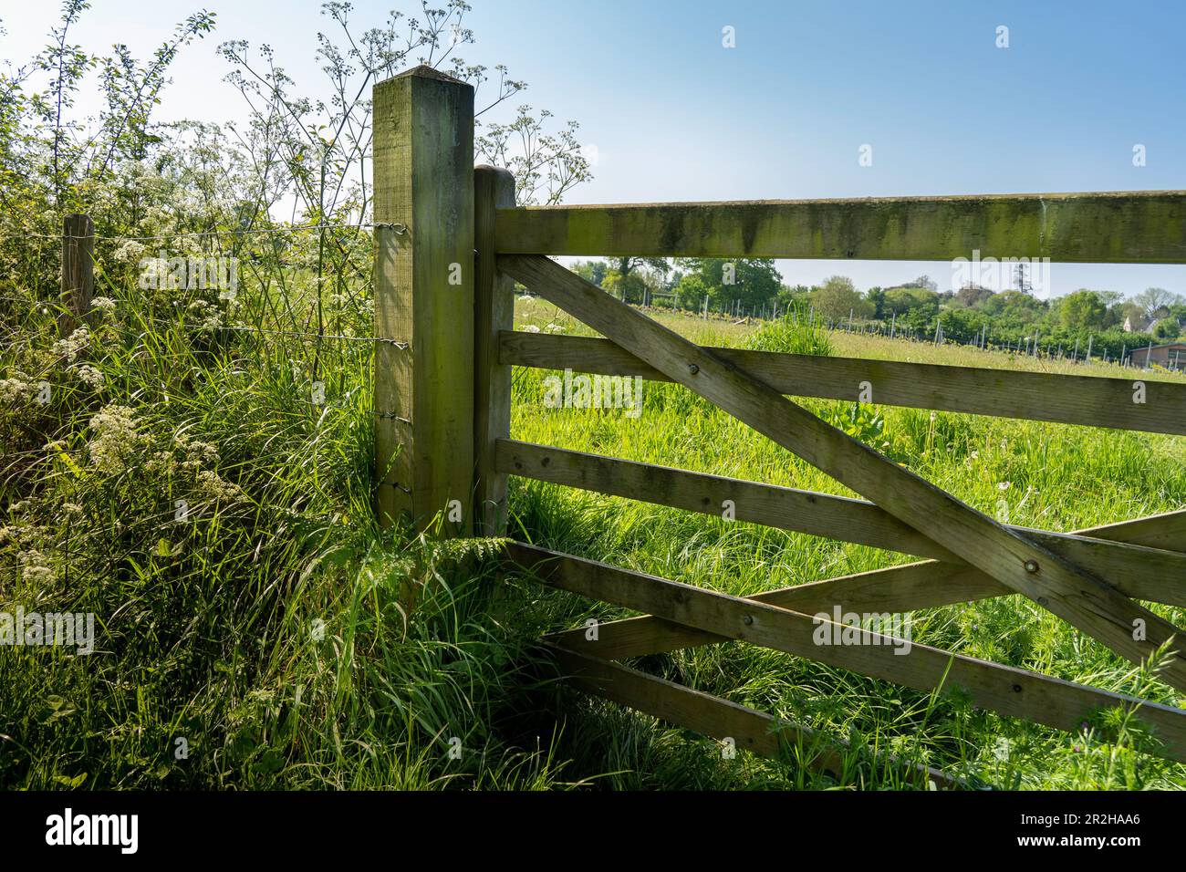 Five bar wooden field (Farm) gate in the English countryside Stock ...