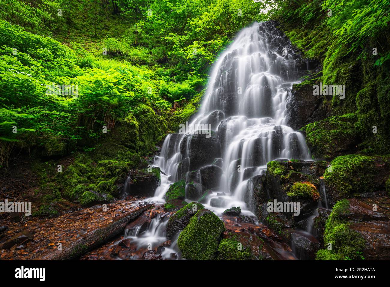 Fairy Falls, Columbia River Gorge National Scenic Area, Oregon USA ...