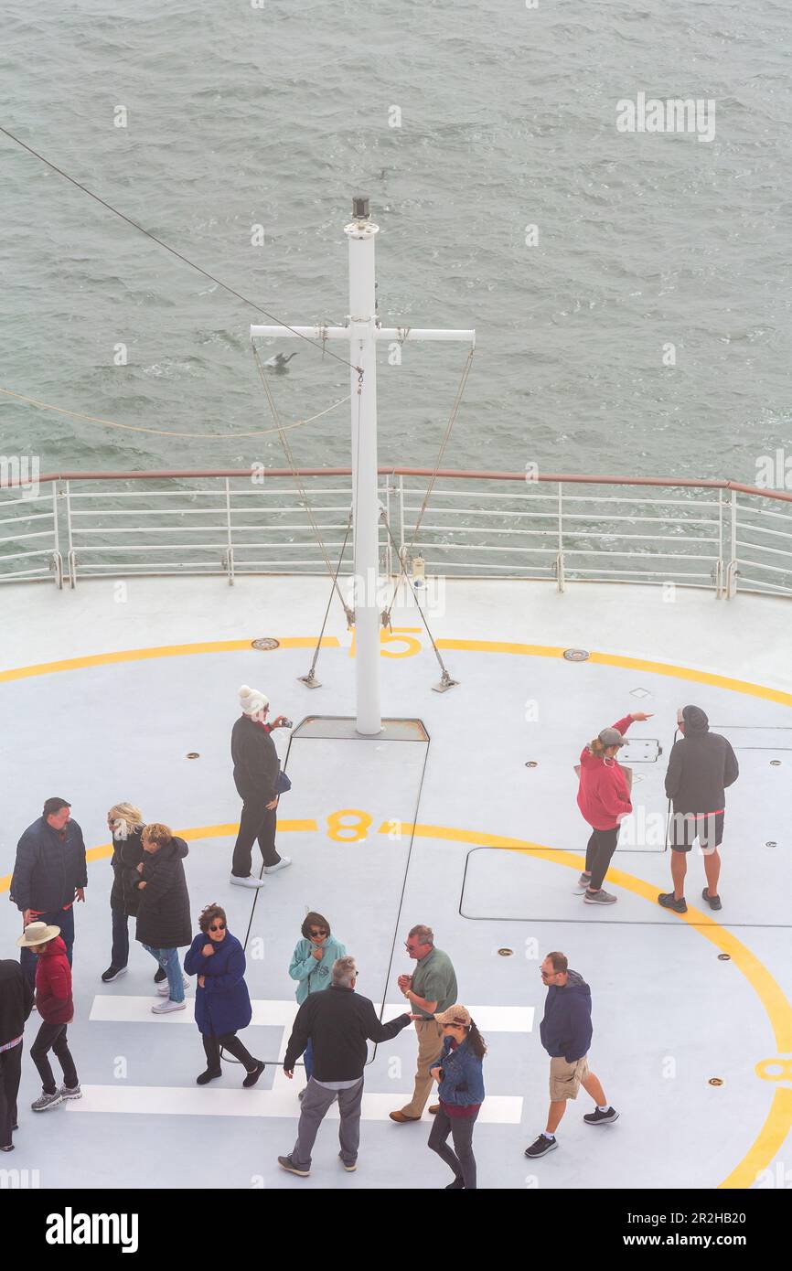 Celebrity Solstice cruise ship in fog,Golden gate Bridge, San Francisco ...