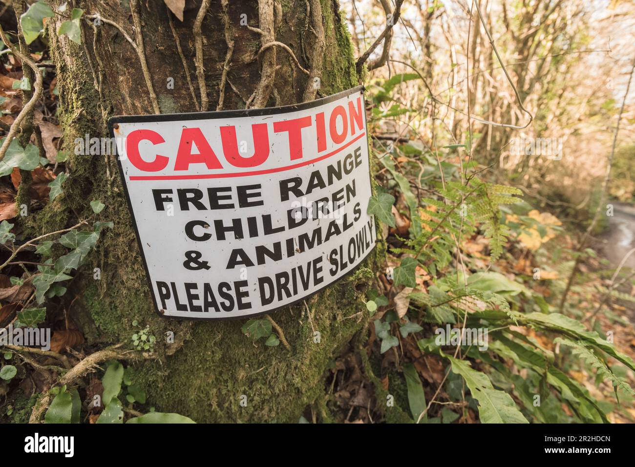Free Range Children kids road safety sign at the head of a woodland ...