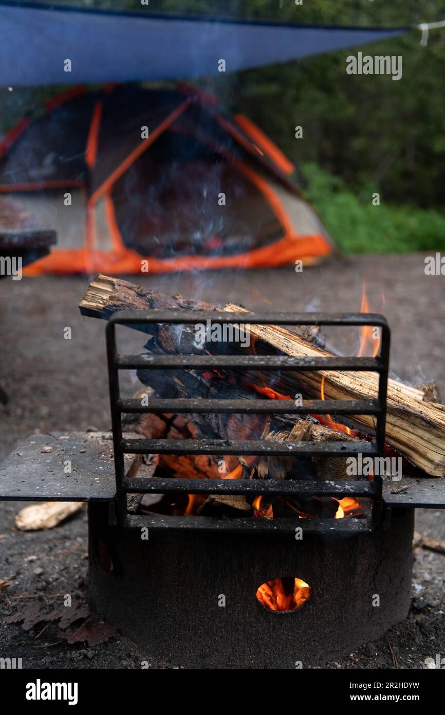 Burning campfire in front of a tent set up for camping in the forest ...