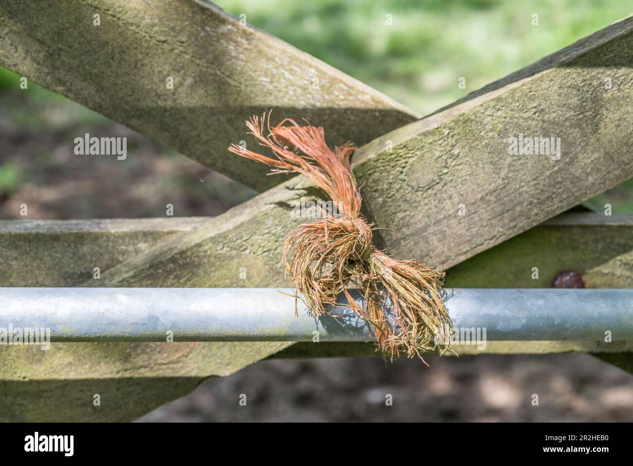Frayed orange binder twine or polymer rope holding together steel frame ...