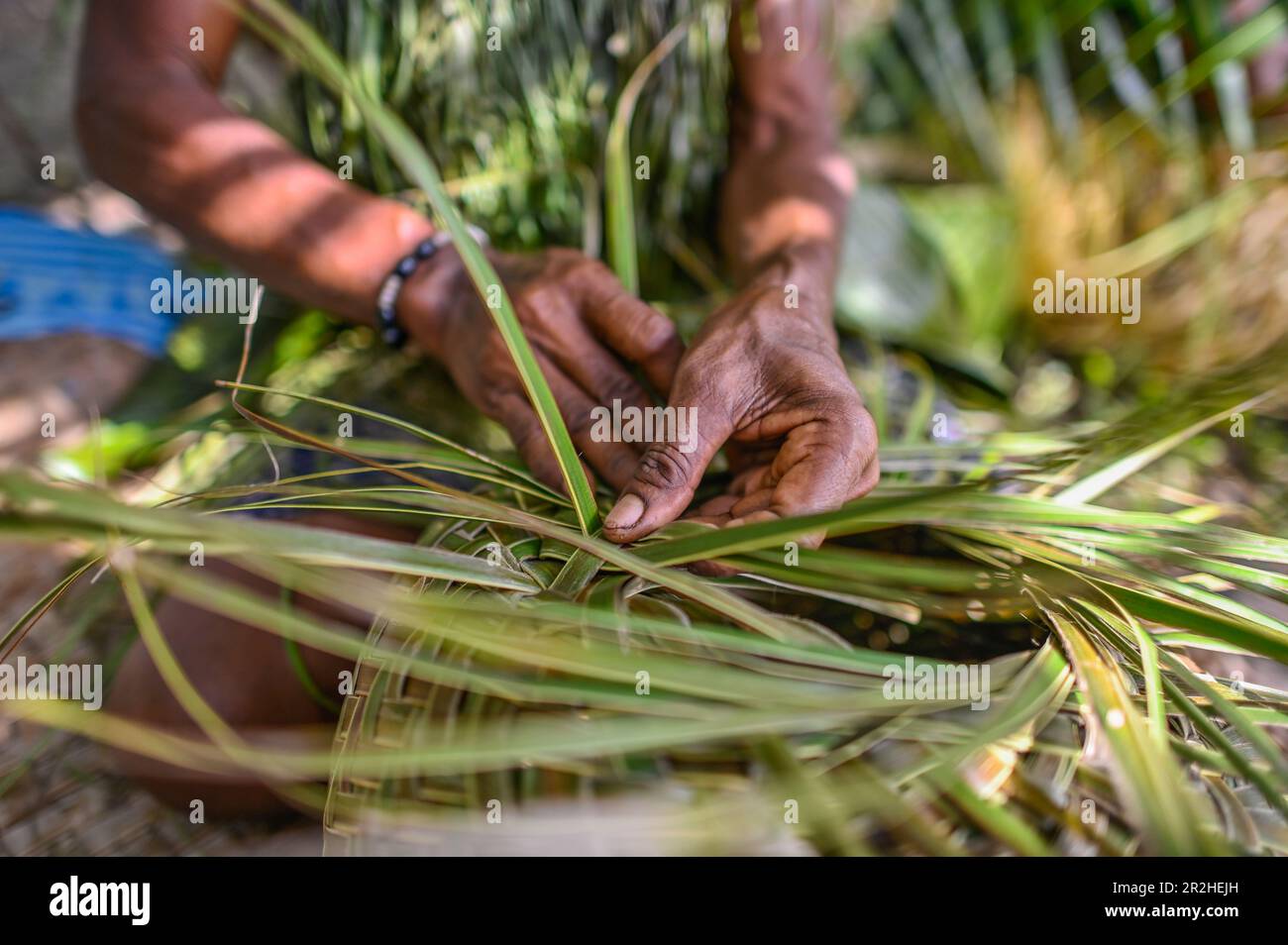 Weaving in Fenualoa utilizes various natural materials sourced from the ...