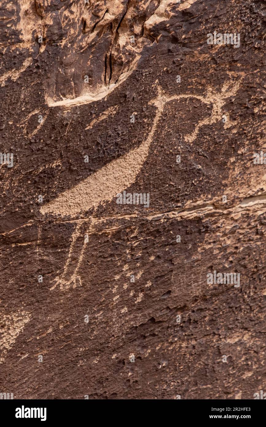 Petrified Forest National Park is an American national park in ...