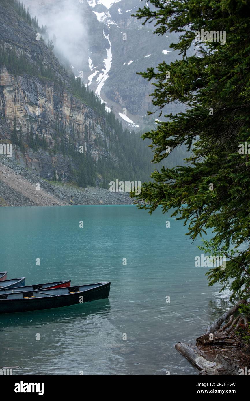 Canoes in turquoise Lake Louise with misty mountains in the background ...
