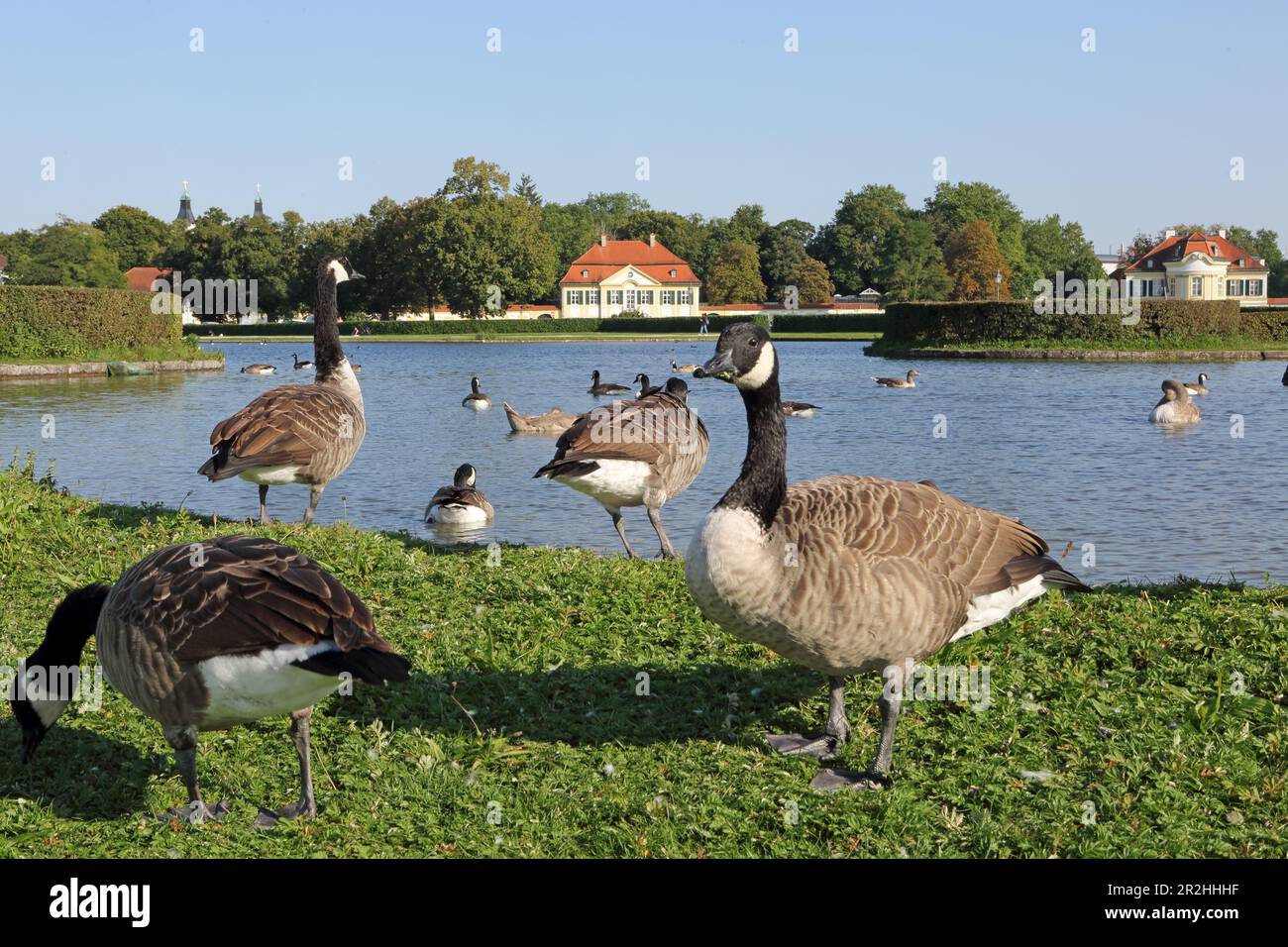 Roundabout with ducks, Nymphenburg Palace, Nymphenburg, Munich, Upper ...