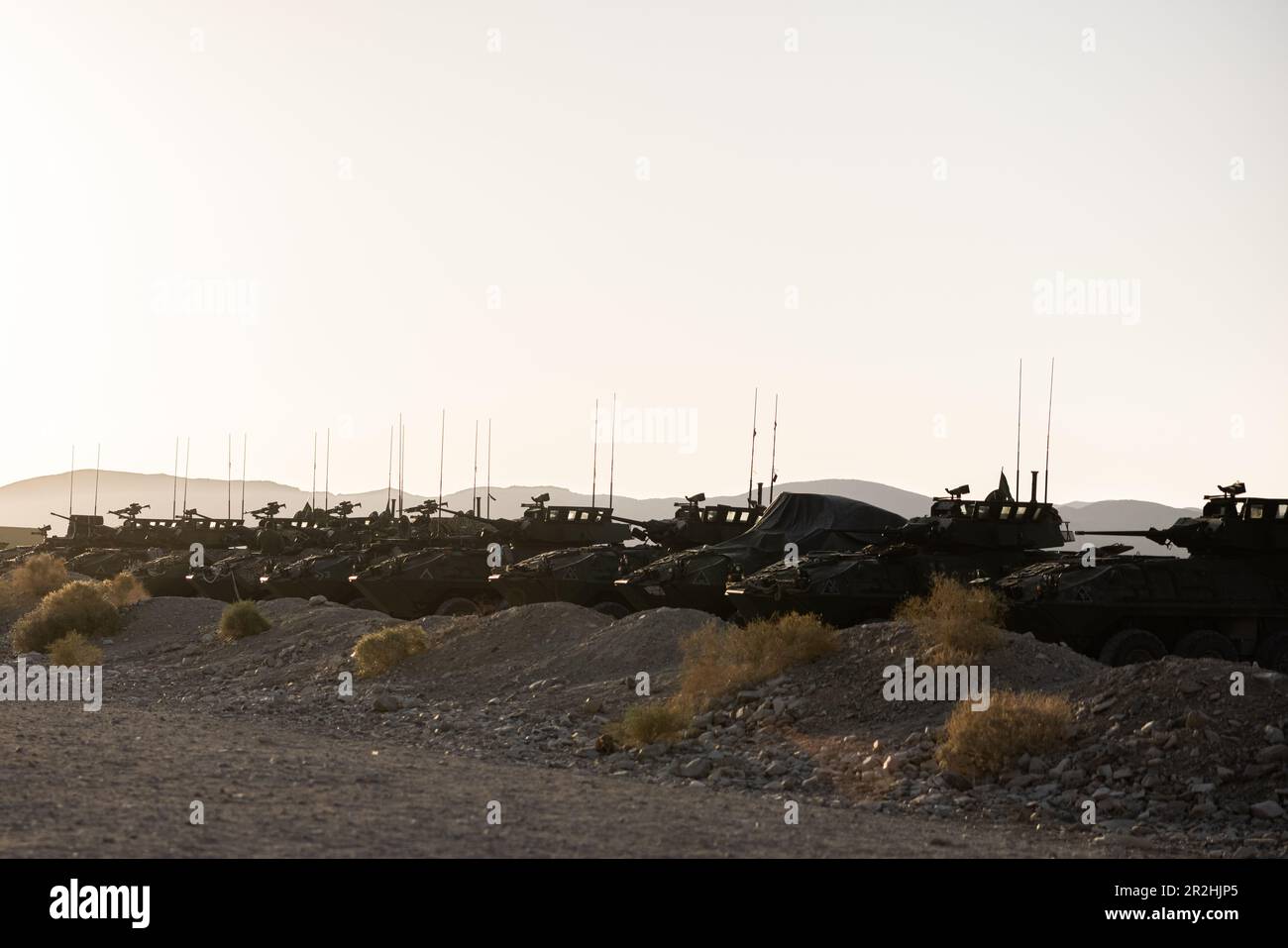 U.S. Marine Corps Light armored vehicles (LAV) assigned to 3rd and 1st ...