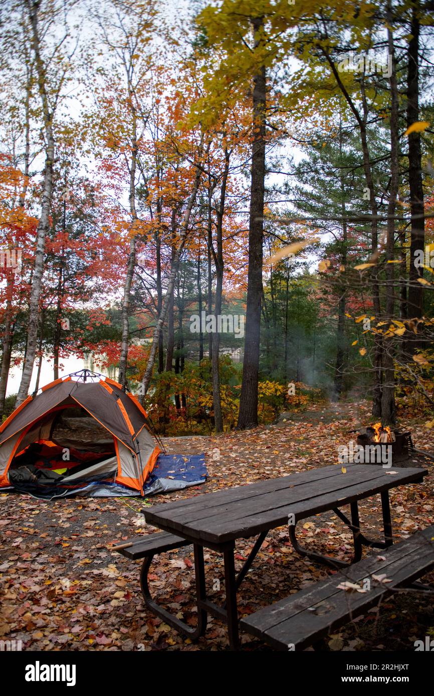 Colorful Fall foliage on a camping site by a lake in Killarney ...