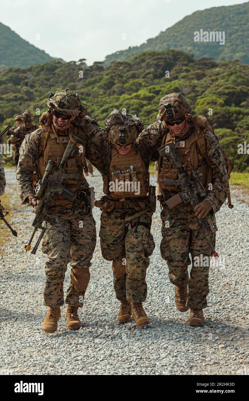 U.S. Marines with Battalion Landing Team 2/1, 31st Marine Expeditionary ...