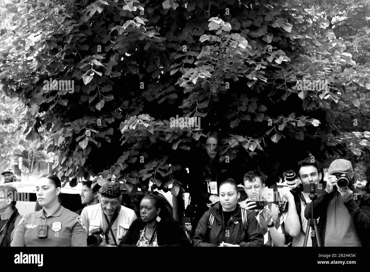 HARLEM, NY - May 19: Crowds gather New York City, along with family ...