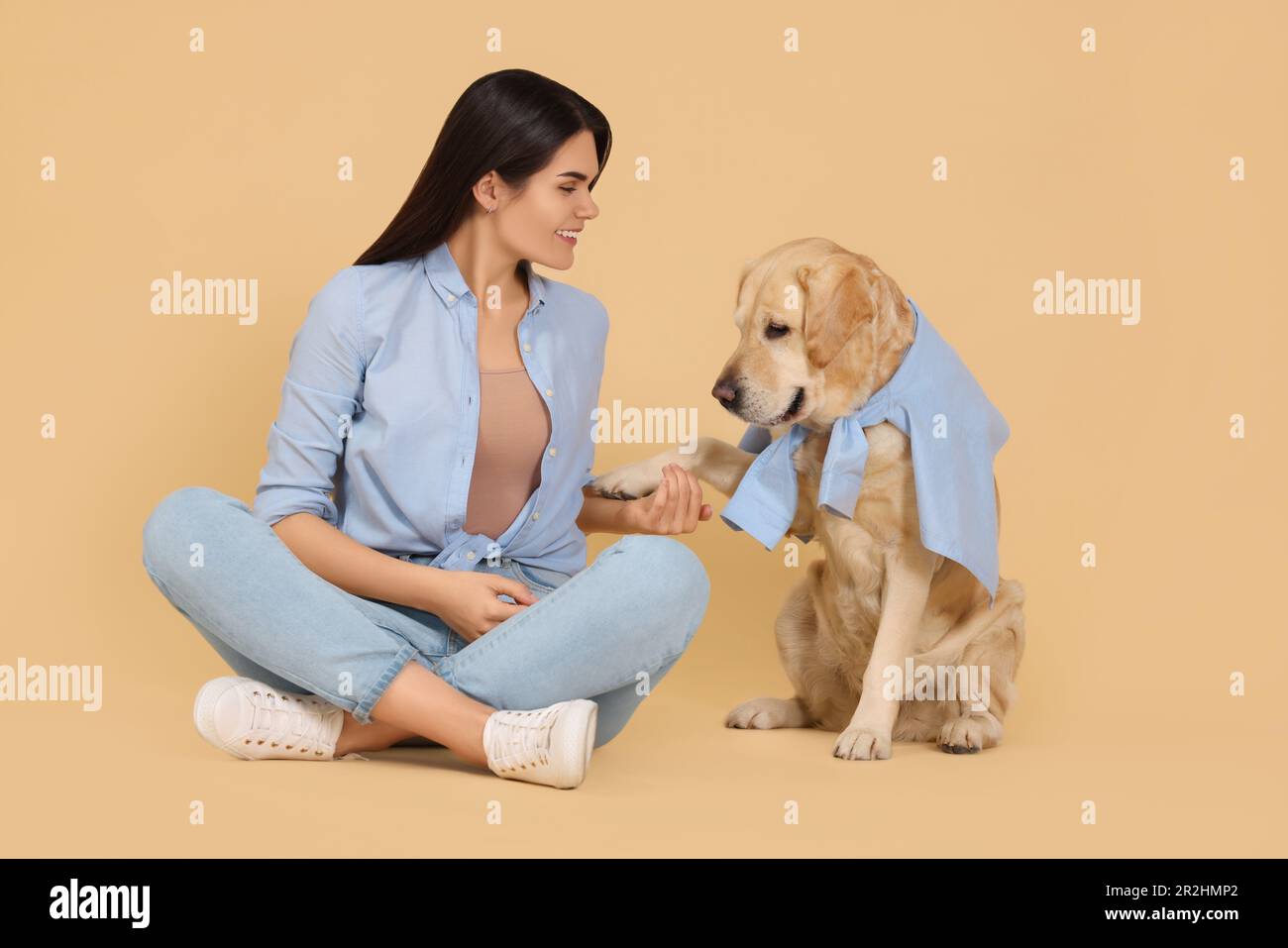 Cute Labrador Retriever giving paw to happy owner on beige background ...