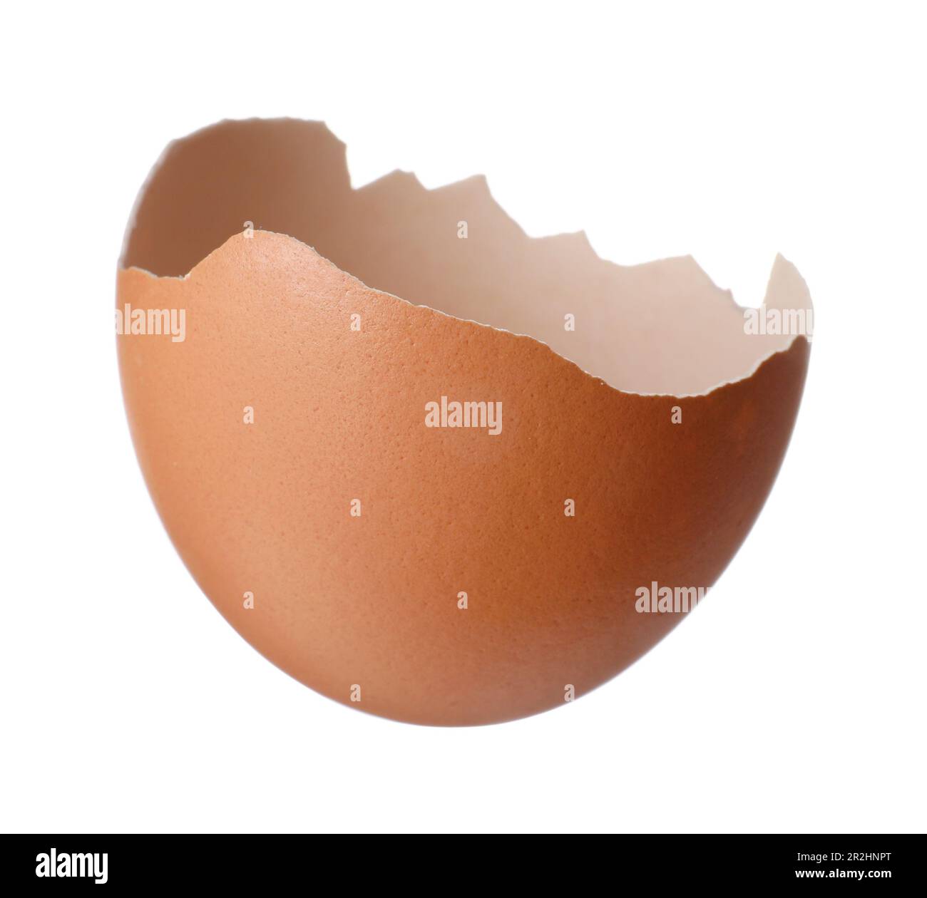 Shell of egg isolated on white background Stock Photo - Alamy