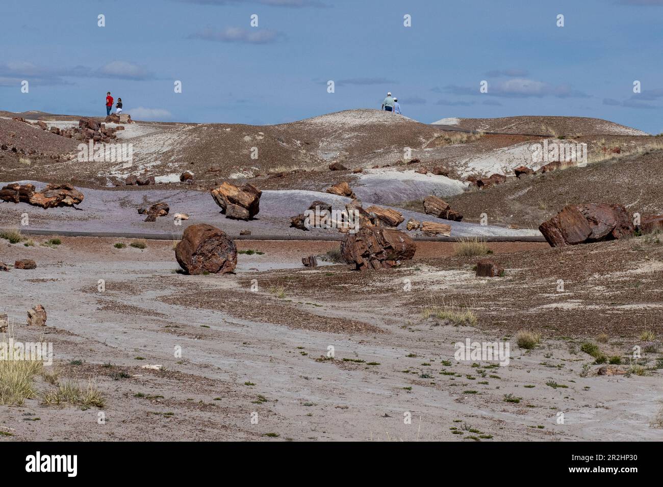 Petrified Forest National Park is an American national park in ...
