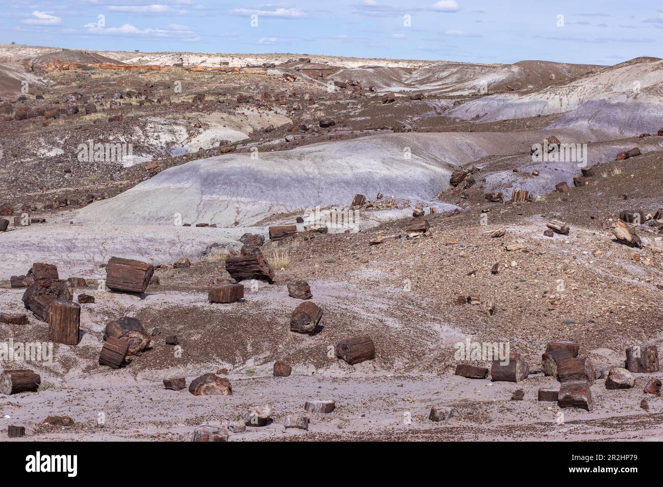 Petrified Forest National Park is an American national park in ...