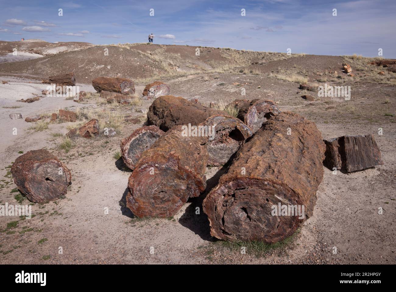 Petrified Forest National Park is an American national park in ...