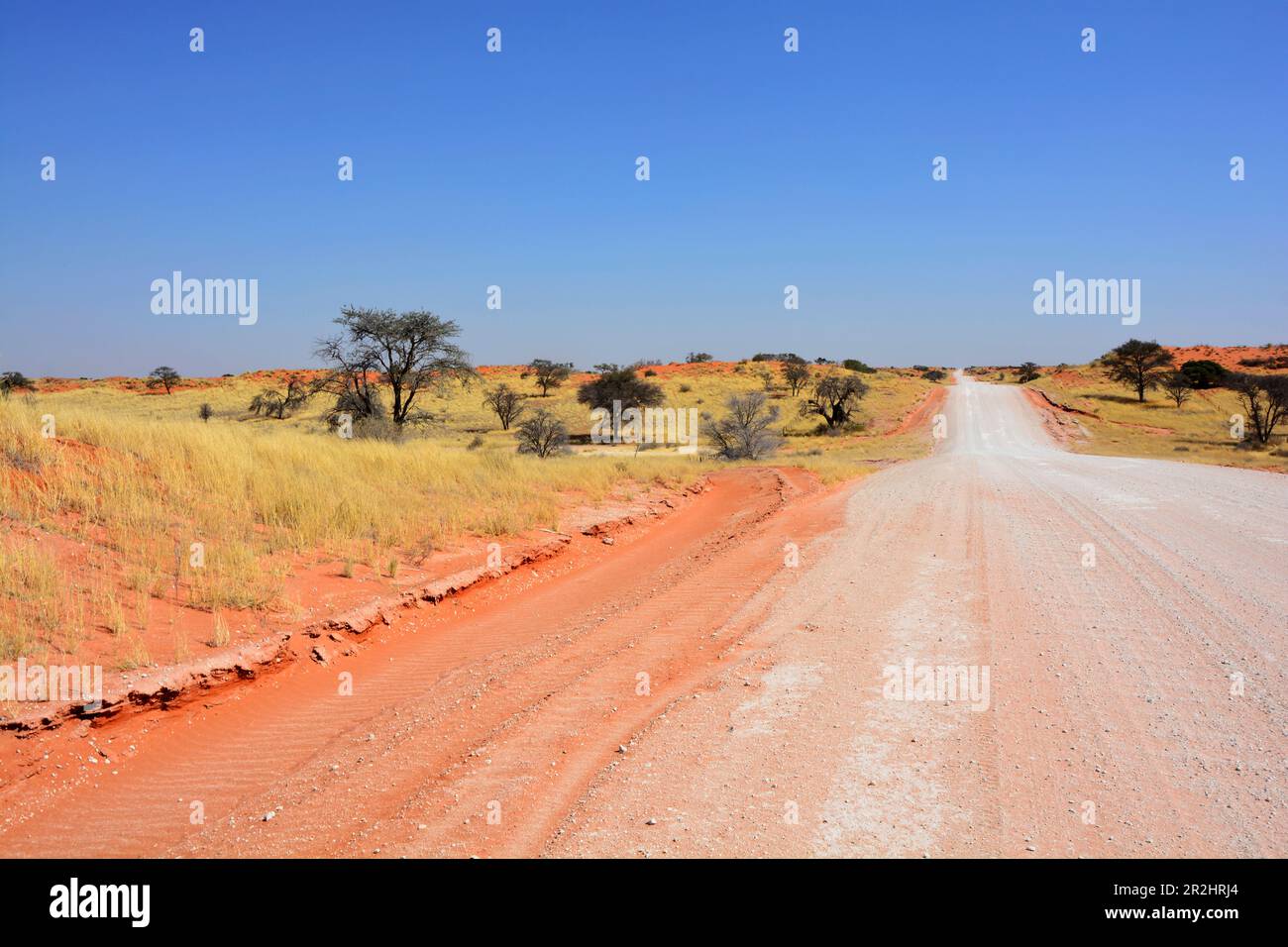 Namibia; Karas region; Central Namibia; gravel road through the ...