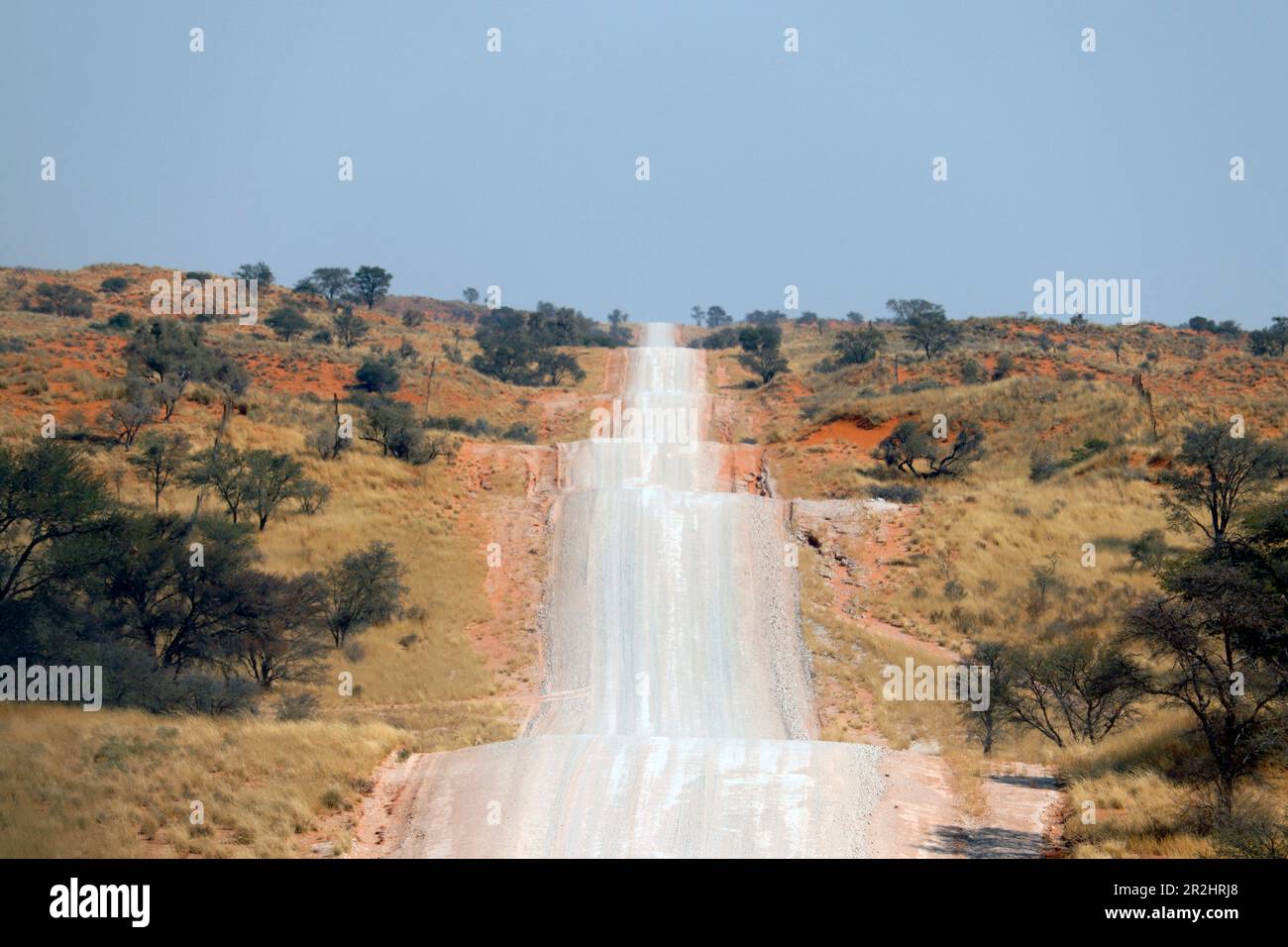 Namibia; Central Namibia; Karas region; Kalahari; Gravel road, running ...