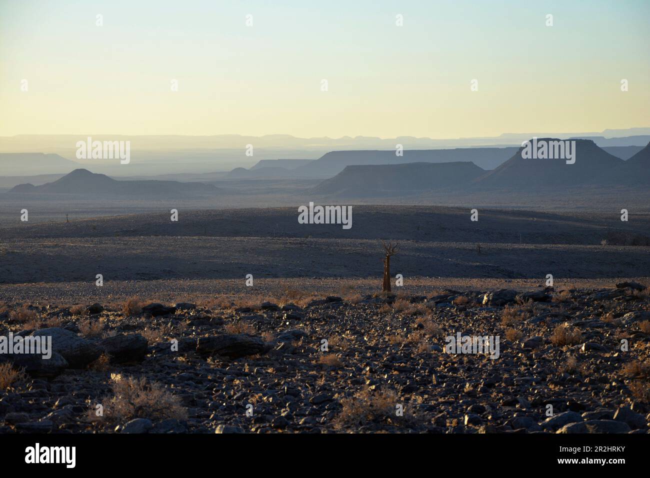 Namibia; Karas region; Southern Namibia; Canyon Nature Park West ...