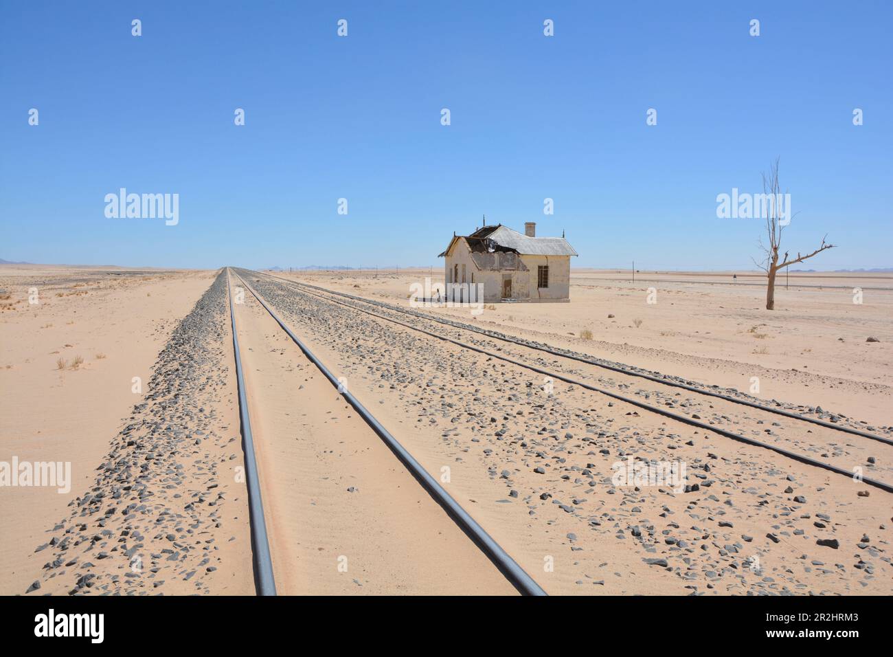 Namibia; Karas region; Southern Namibia; Tsau Khaeb National Park ...