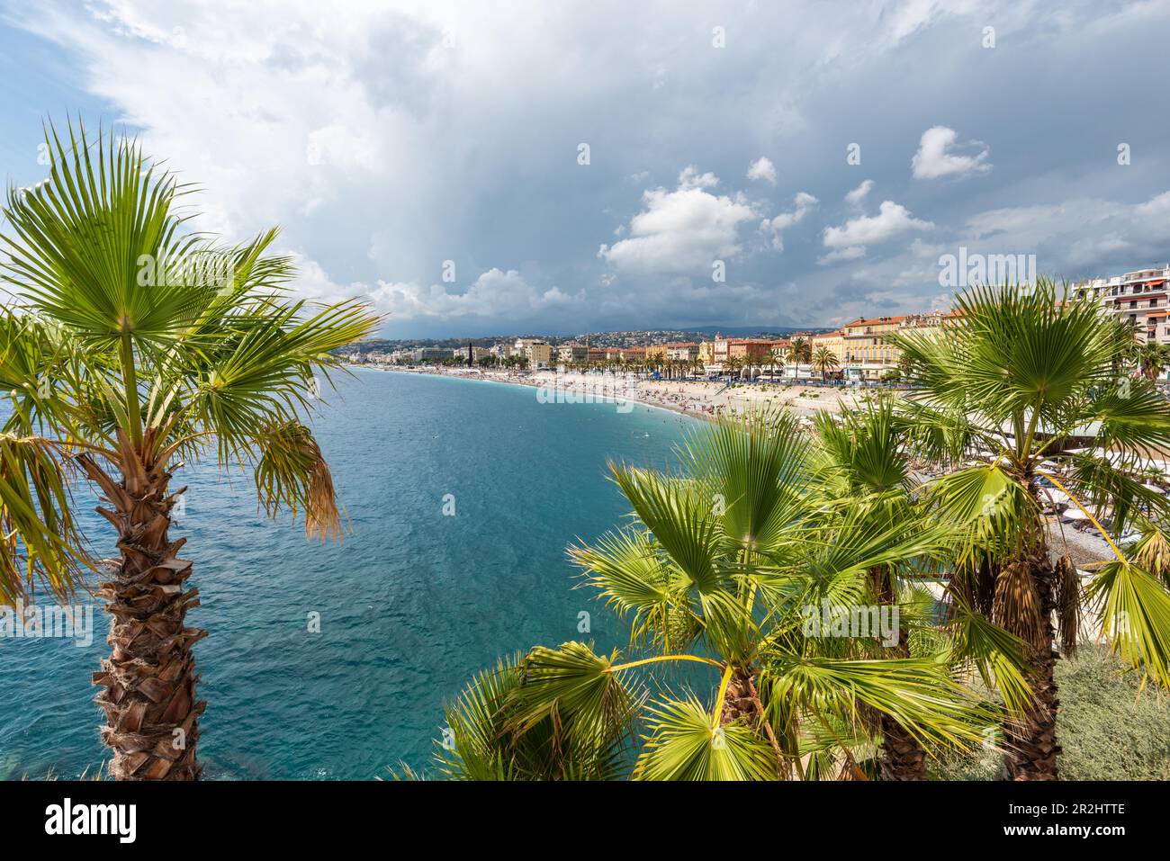 Palm trees on the seafront in front of the Promenade des Anglais in ...