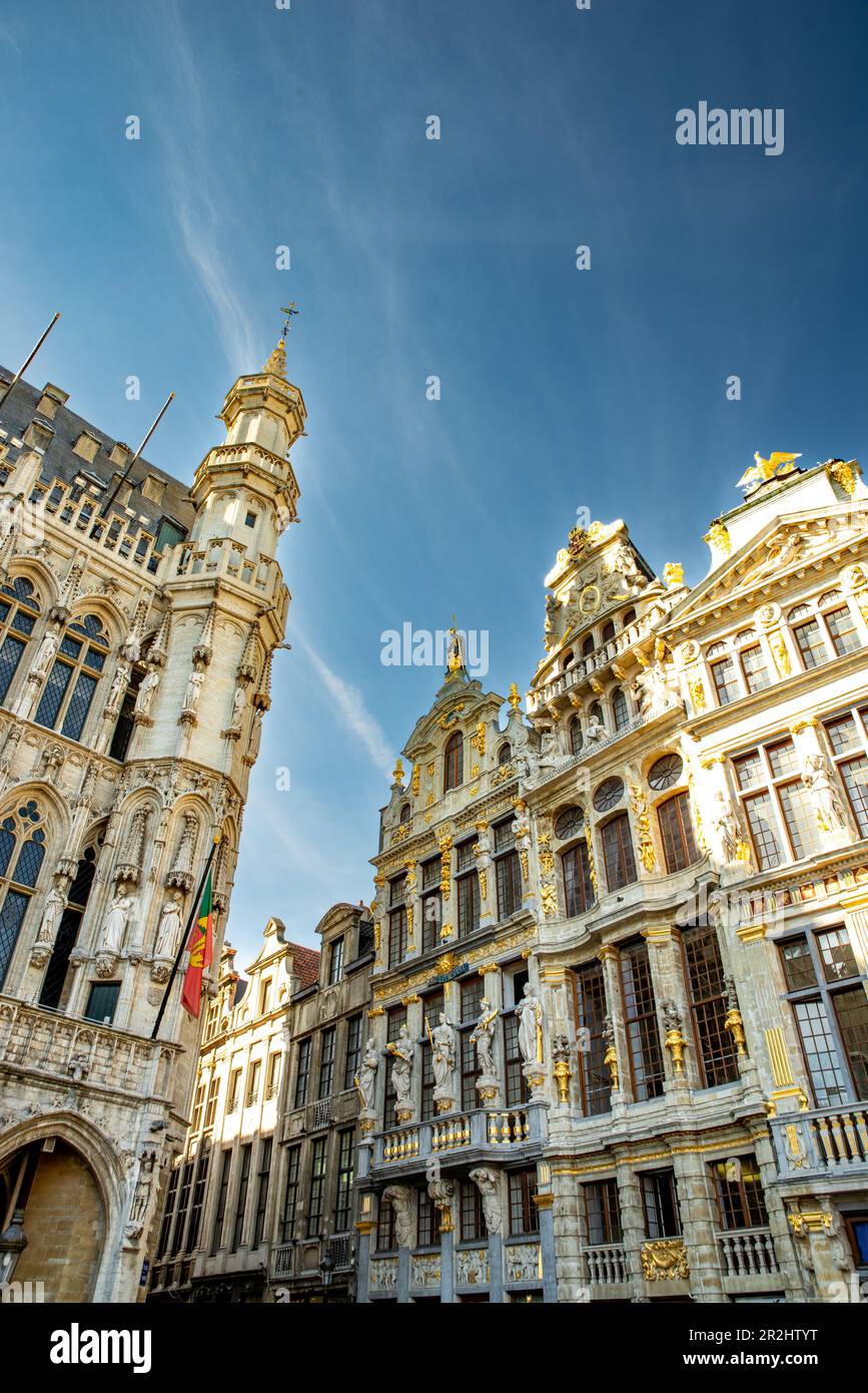 Brussels Grand Place Stock Photo - Alamy