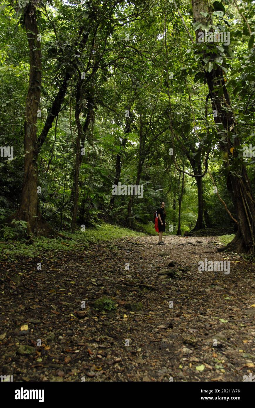 Archaeological Site of Yaxchilan in Chiapas, Mexico Stock Photo - Alamy