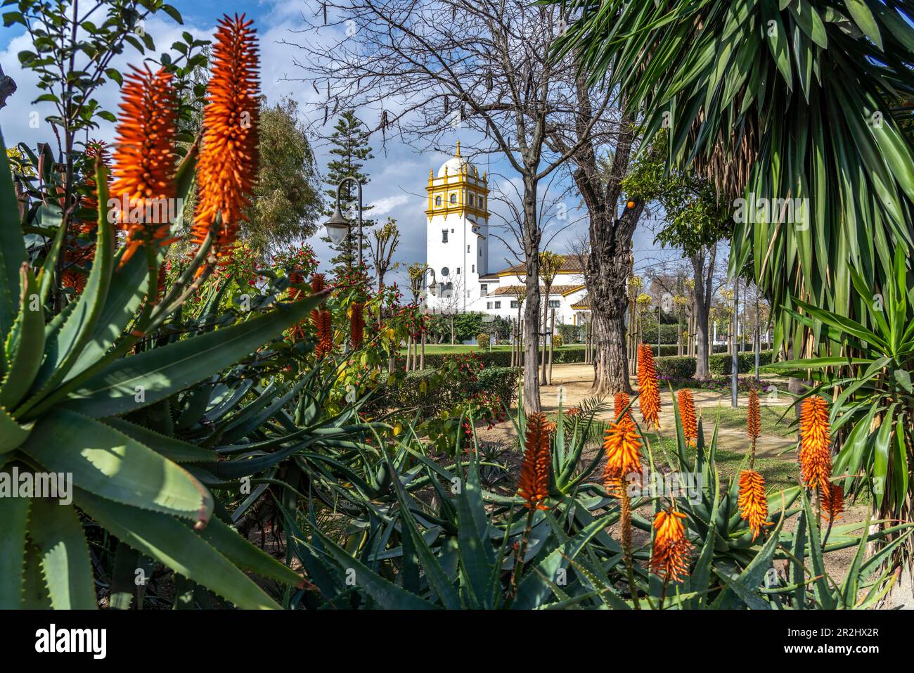 Maria aloe hi-res stock photography and images - Alamy