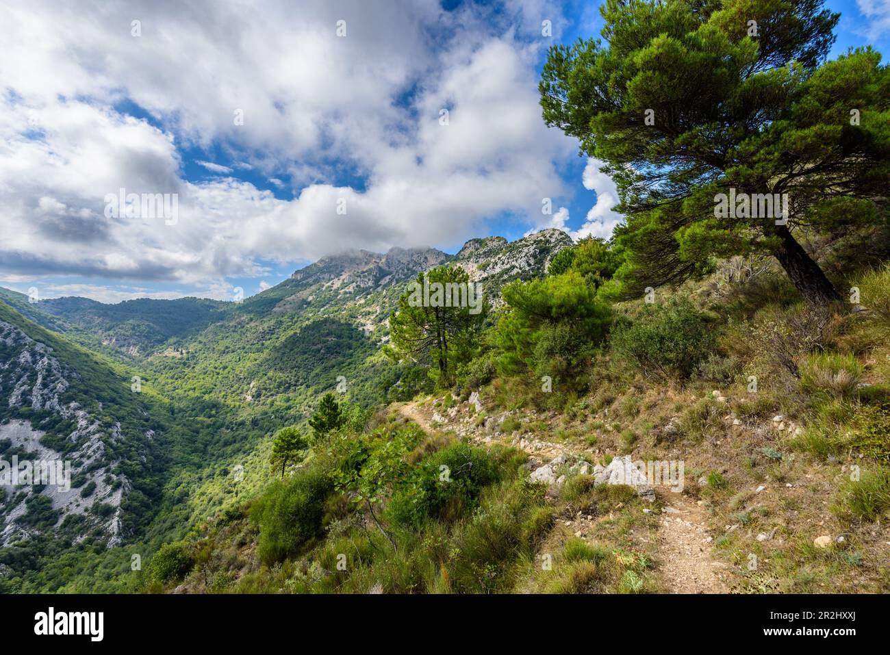 Landscape between the hilltop villages of Sainte-Agnès and Gorbio in ...