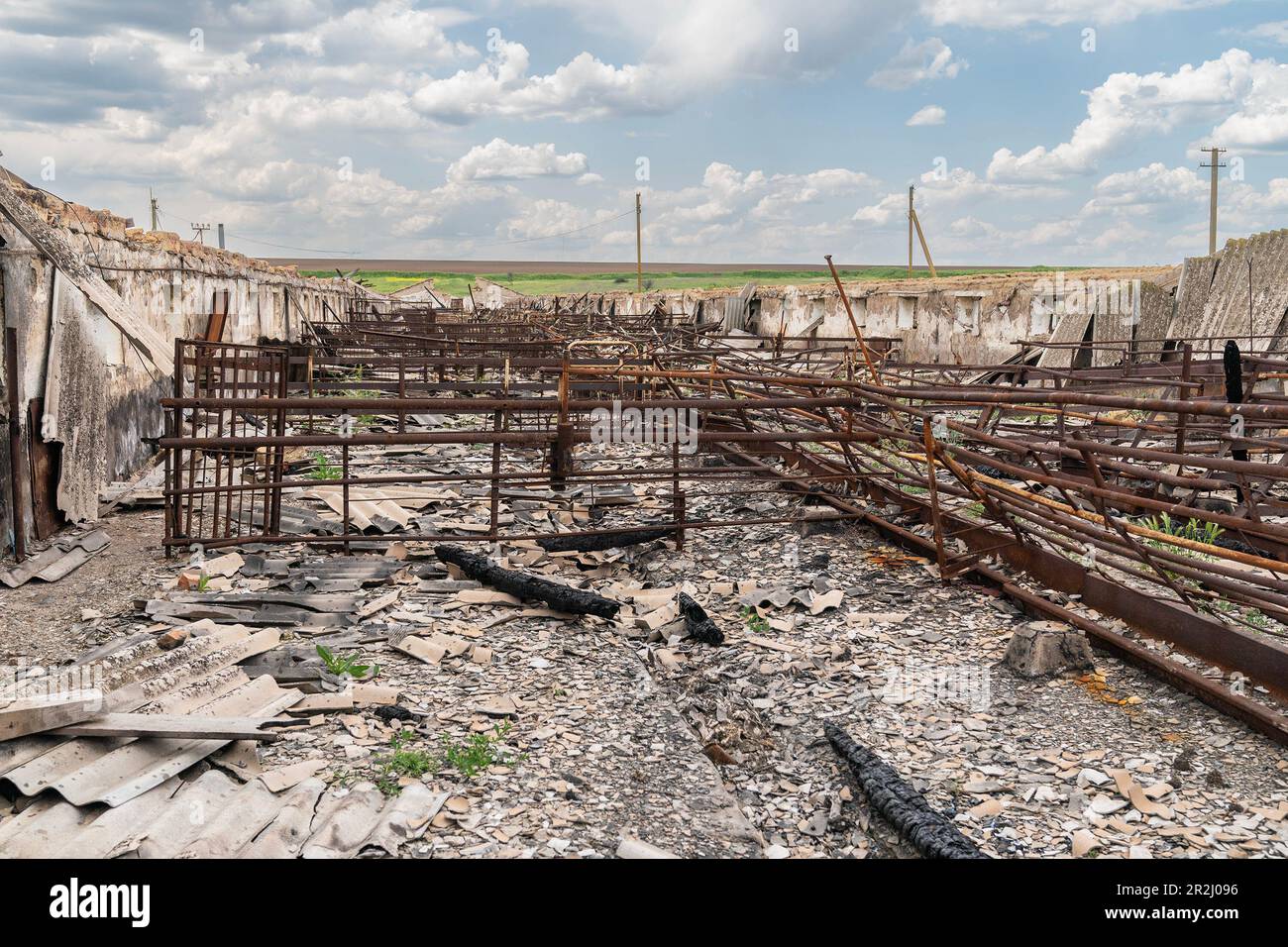 May 19, 2023, Kherson region, Ukraine: Completely destroyed pig farm ...